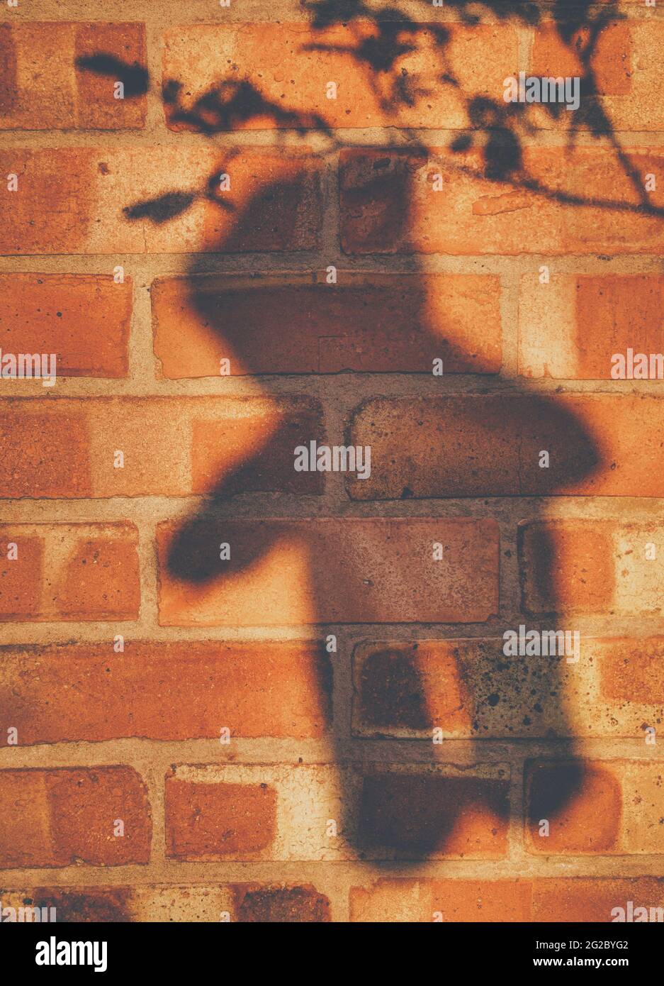 Teddy bears shadow hi-res stock photography and images - Alamy