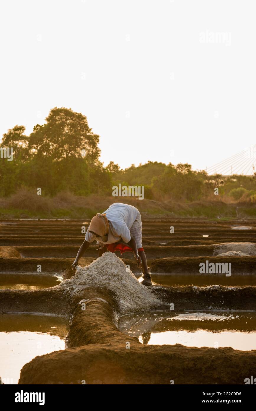 Salt Pans Goa India High Resolution Stock Photography and Images - Alamy
