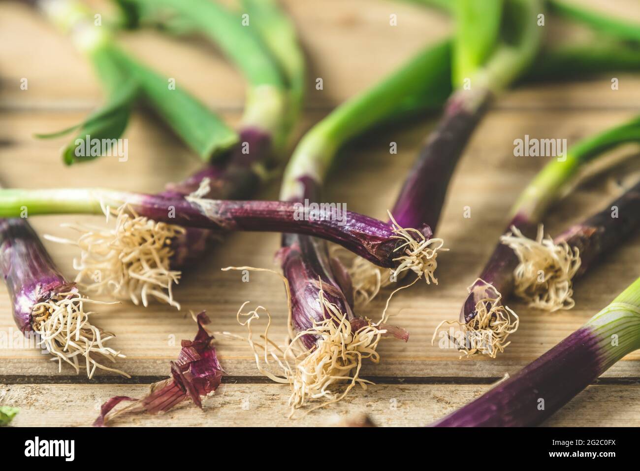 Whole spring onion on hi-res stock photography and images - Alamy