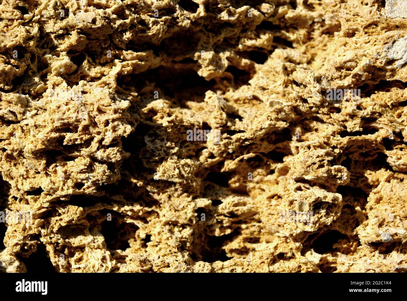 Coquina blocks hi-res stock photography and images - Alamy