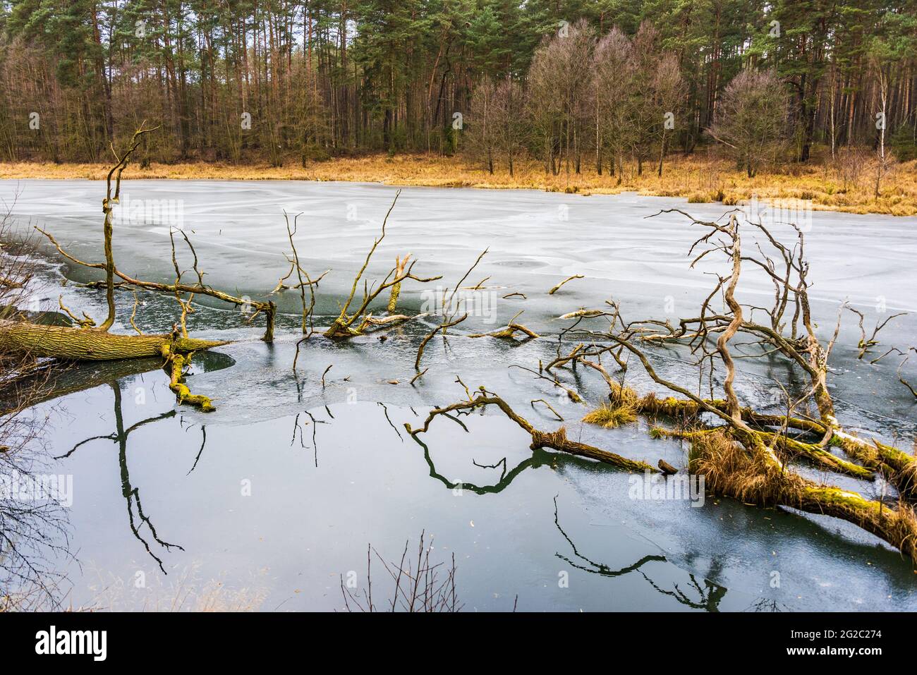 A frozen, ice-covered, meandering river flowing through a winter forest ...