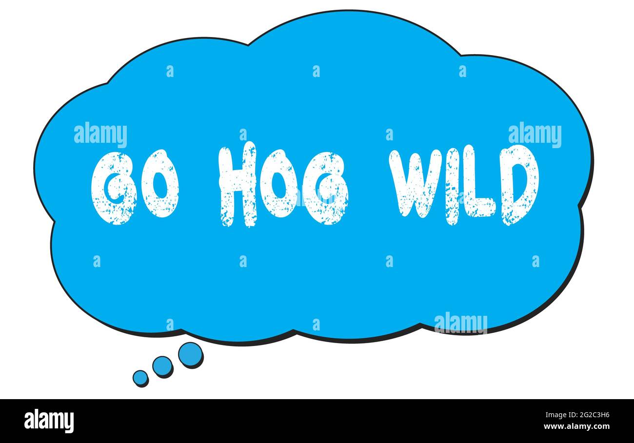 GO HOG WILD text written on a blue thought cloud bubble Stock Photo - Alamy