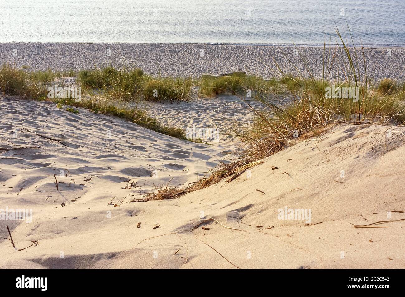 The seashore at sunset. Sand Dune. The sandy coast at sunrise Stock ...