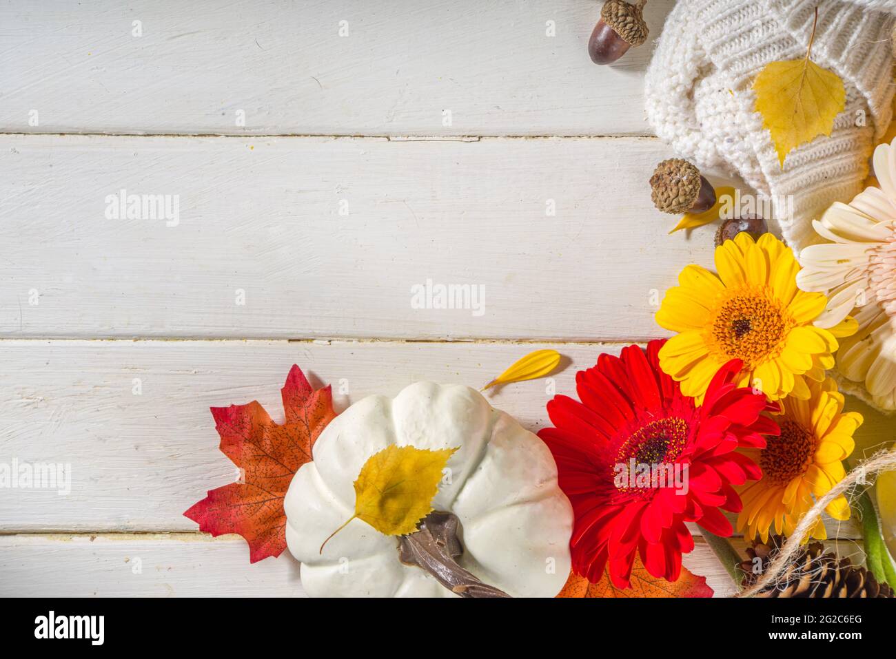 Autumn Seasonal Flowers and Decor Background. White wooden table with ...