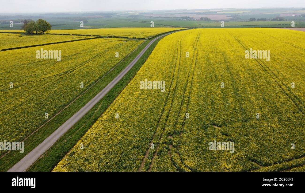 Aerial View of Rural Farm Fields, Kiplingcoates, Vale of York, East ...