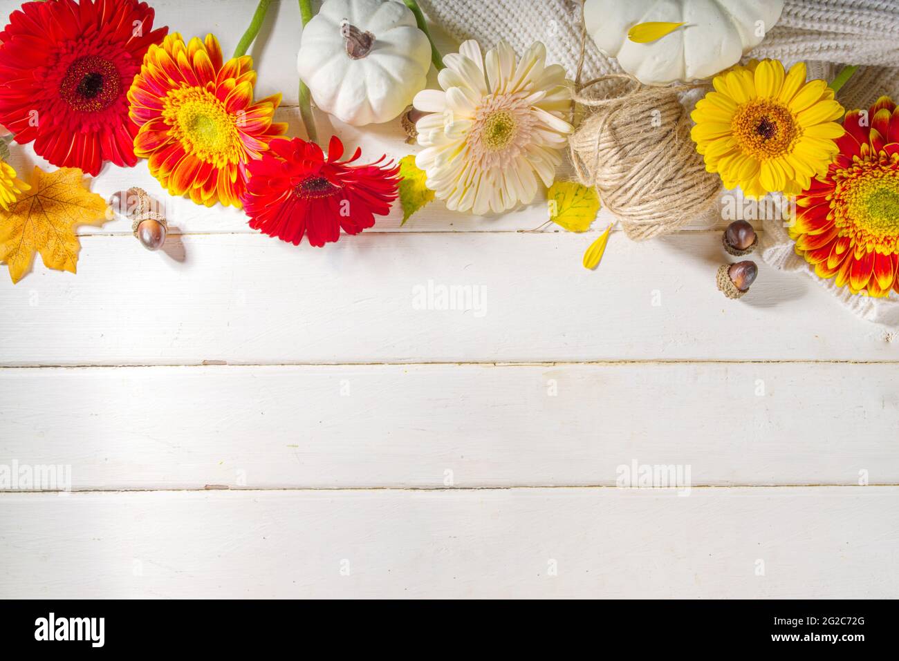 Autumn Seasonal Flowers and Decor Background. White wooden table with ...