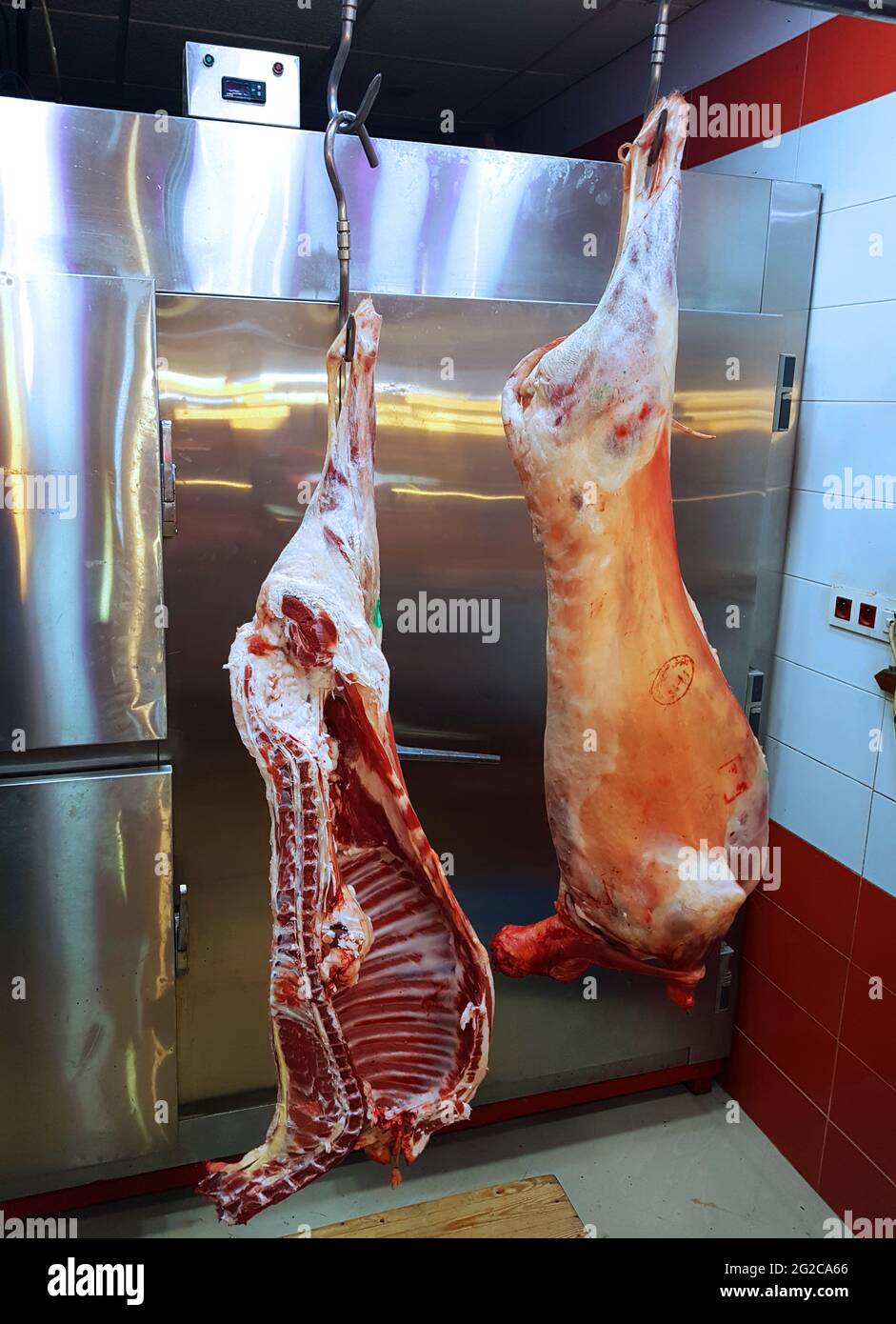 Meat in cold room in hi-res stock photography and images - Alamy