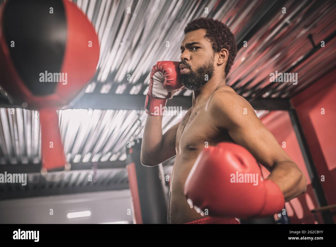 African american kickboxer having a workout in a gym and kicking the ...