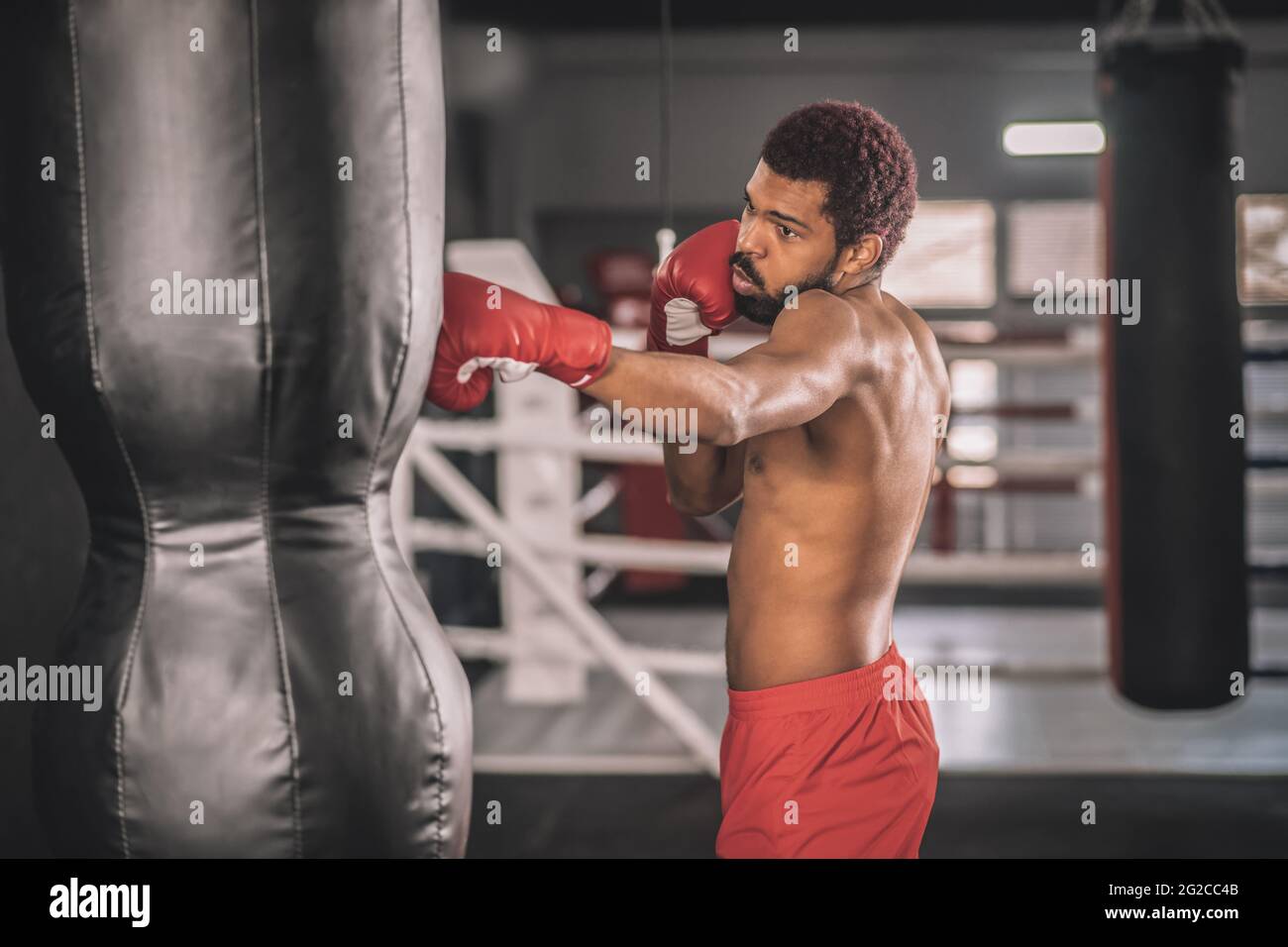 African american kickboxer exercising in a gym working on his kicks ...