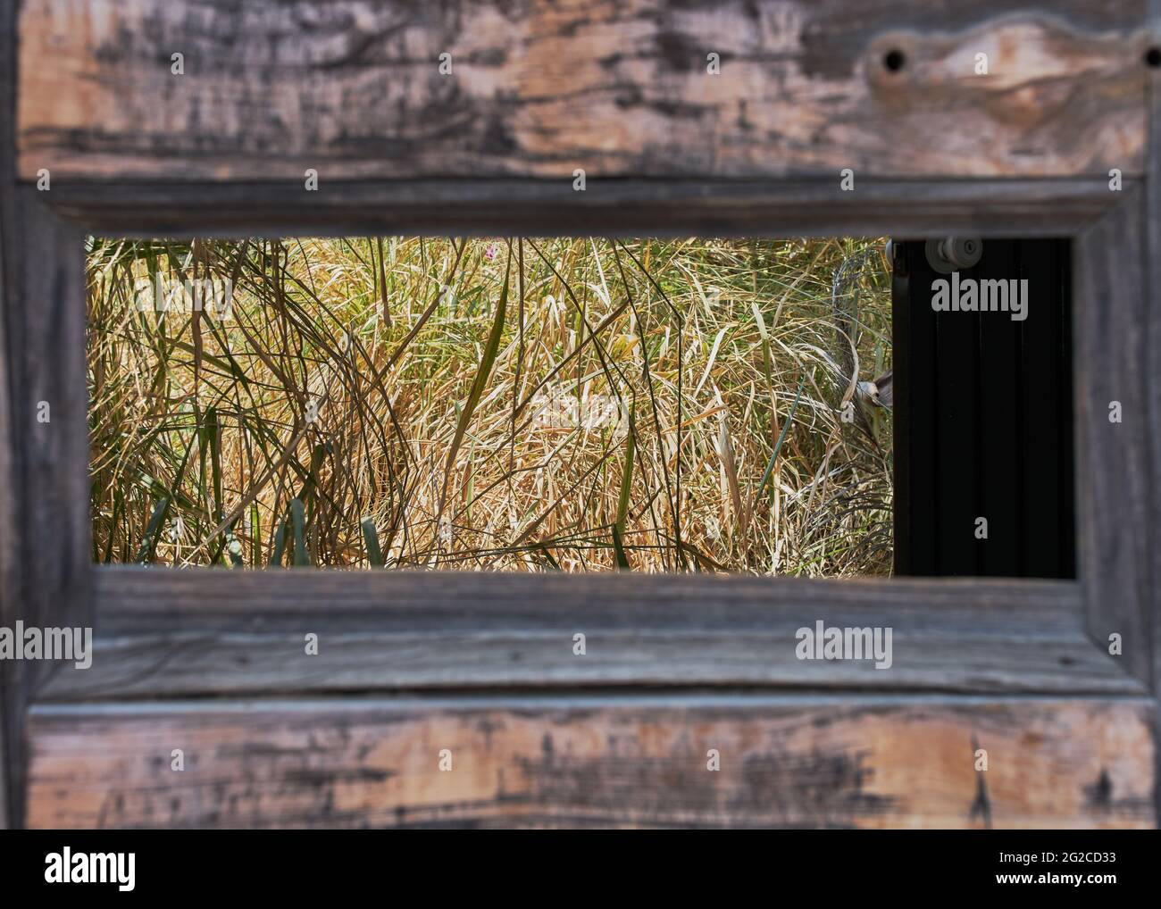 Old wooden texture of windows and doors Stock Photo - Alamy