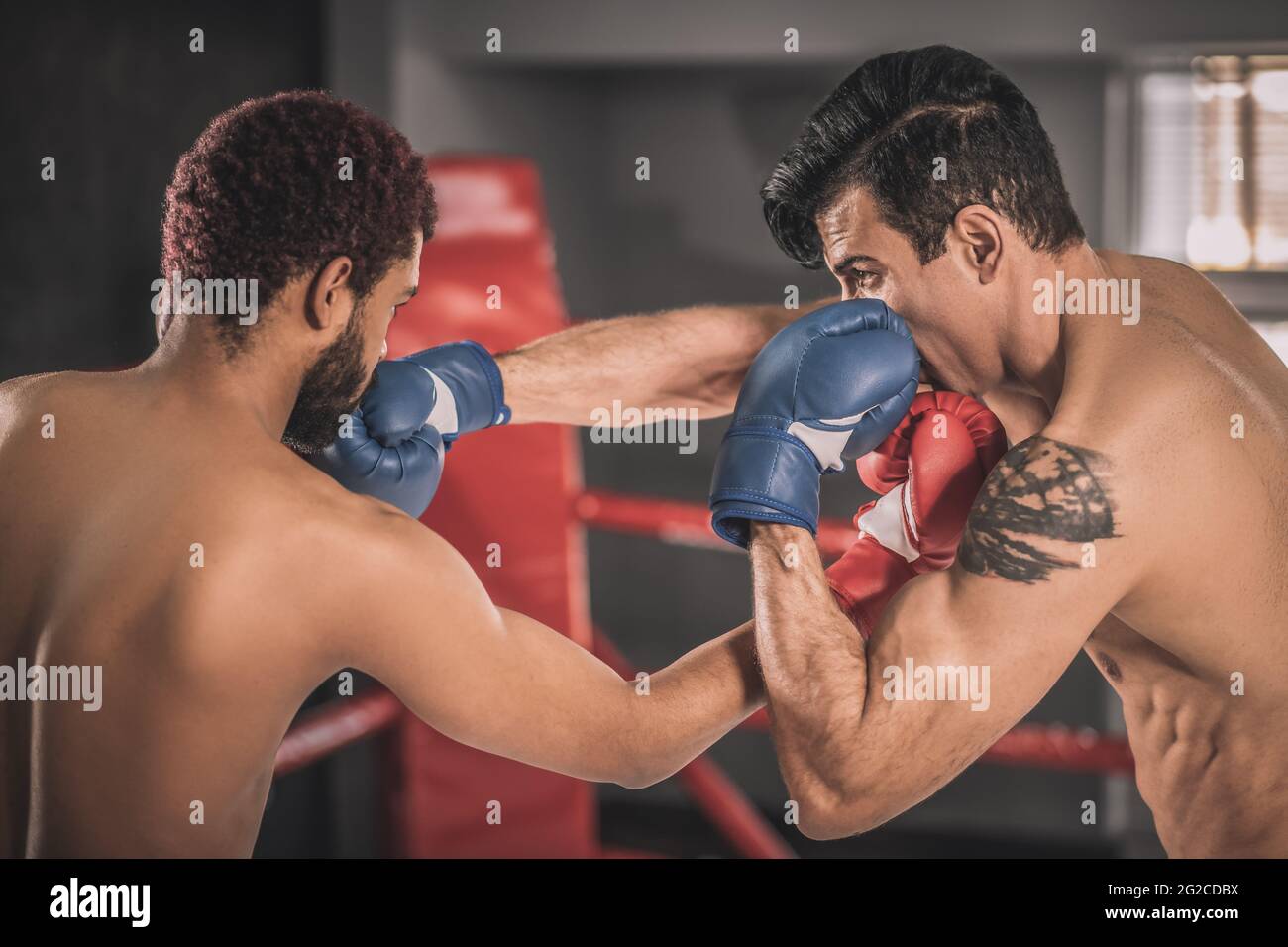 Two rivals at hi-res stock photography and images - Alamy