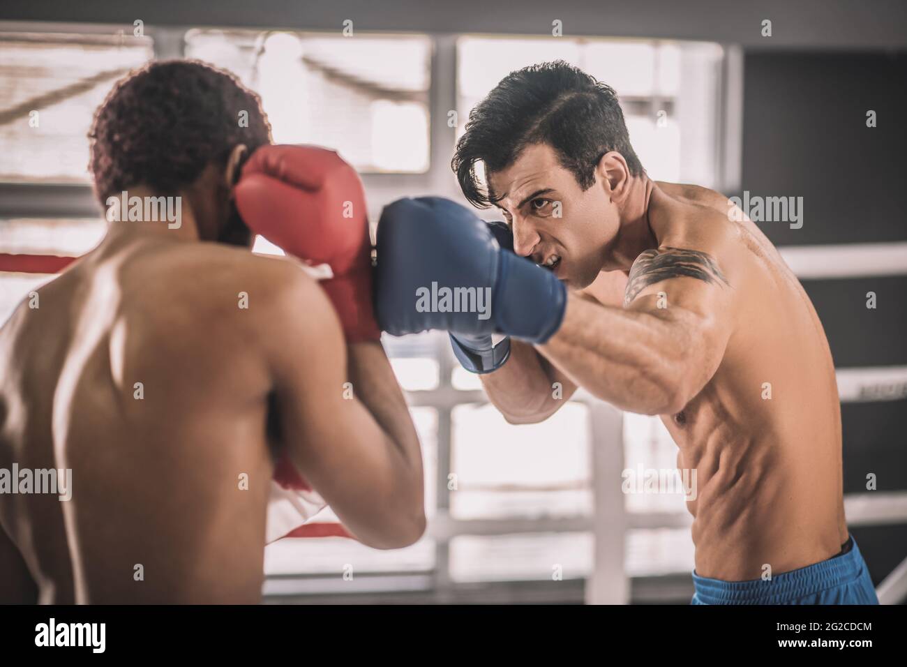 Male boxing fight hi-res stock photography and images - Alamy