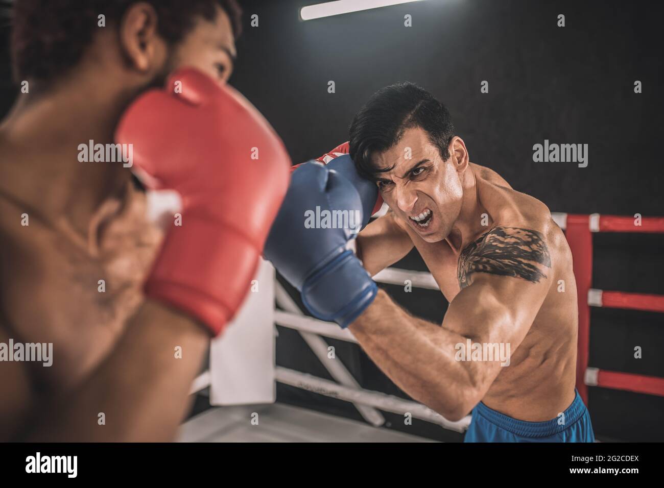 Two kickboxers fighting on a boxing ring and looking aggressive Stock ...
