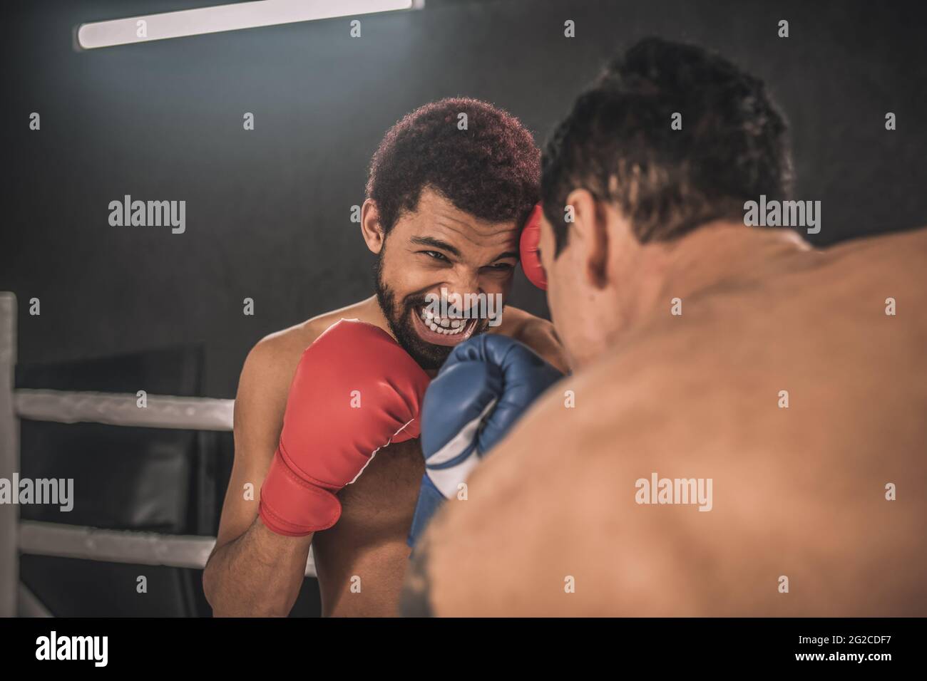 Two kickboxers fighting on a boxing ring and looking aggressive Stock ...