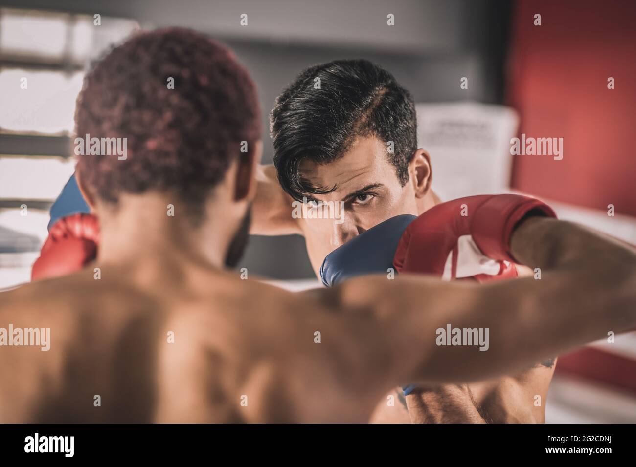Two rivals having a fight on a boxing ring and looking aggressive Stock ...