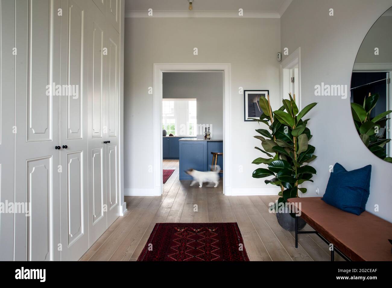 View of house hall Stock Photo - Alamy