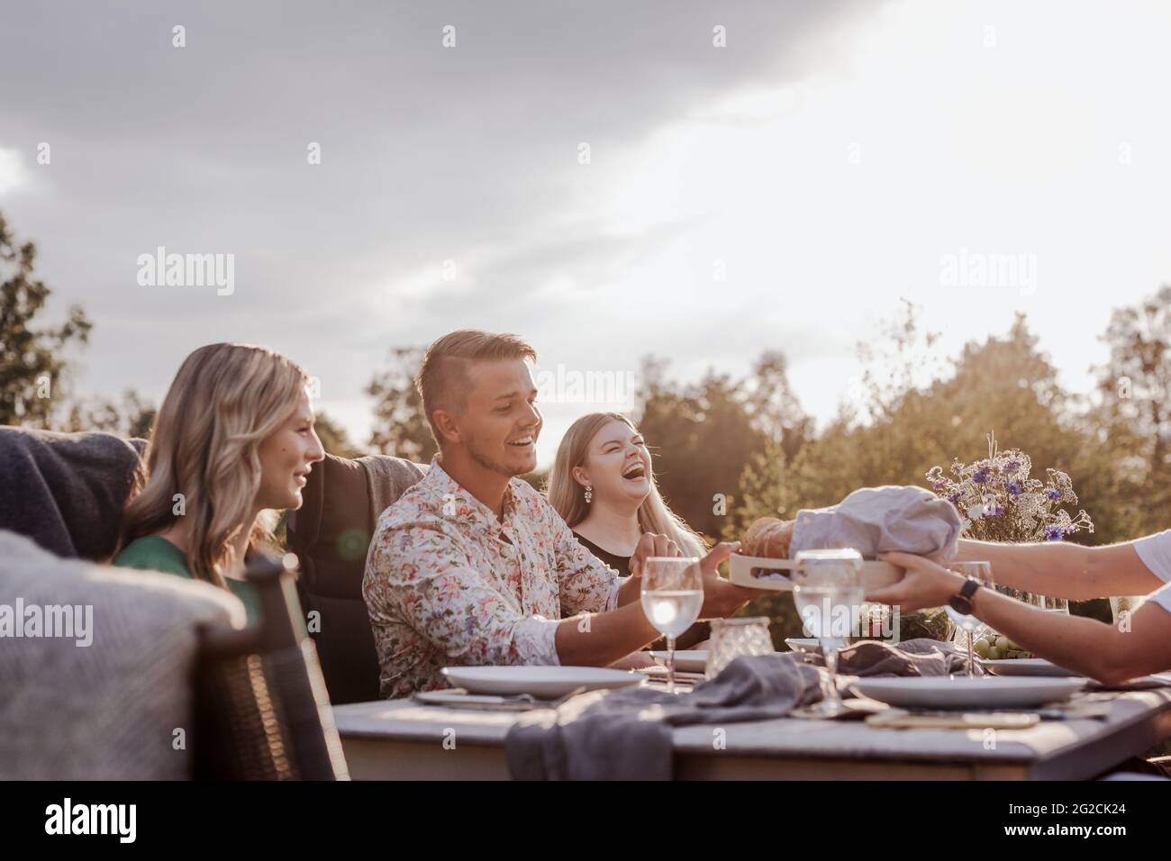 Friends during garden party Stock Photo - Alamy