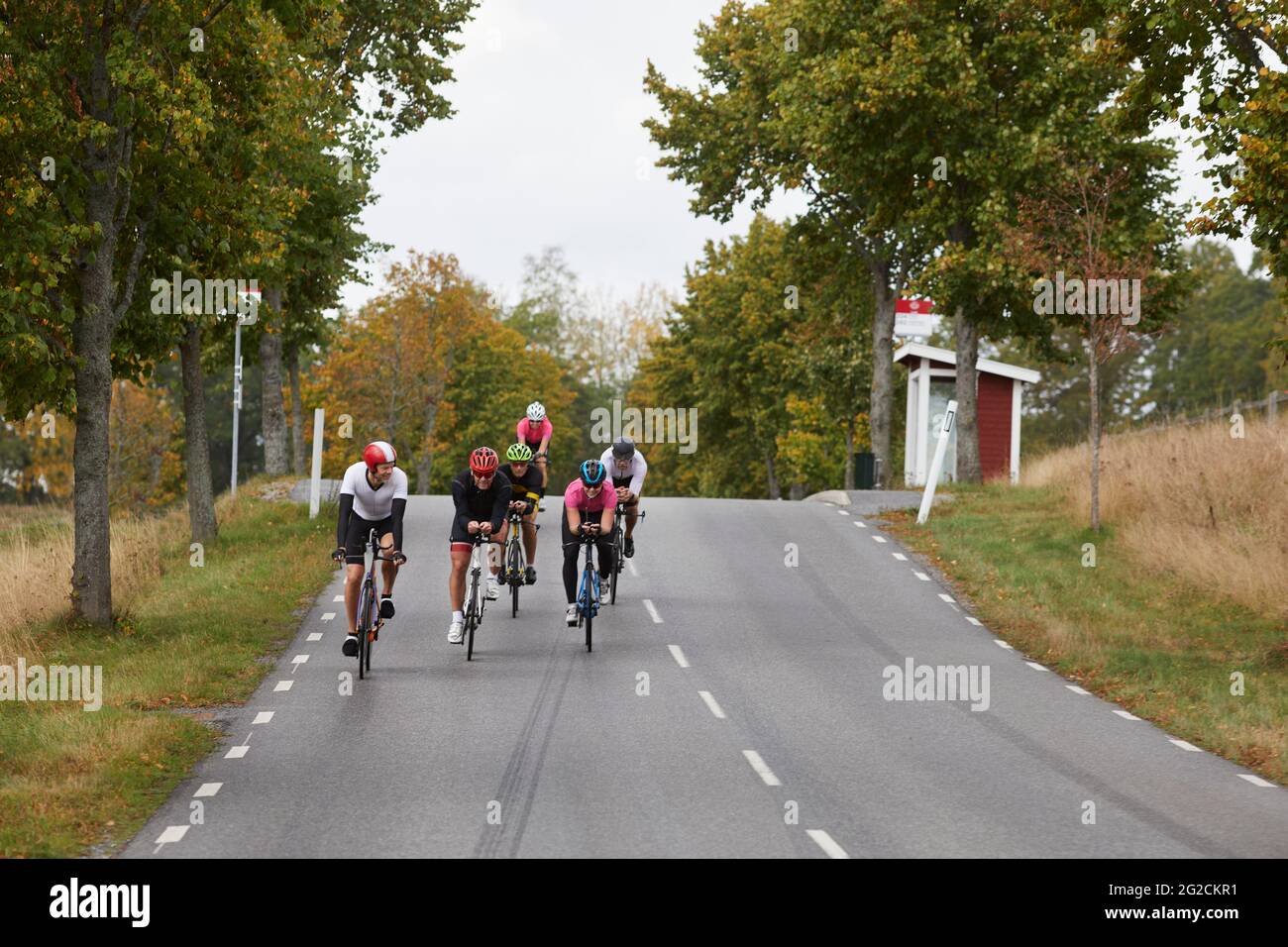 Team of cyclists on road hi-res stock photography and images - Alamy