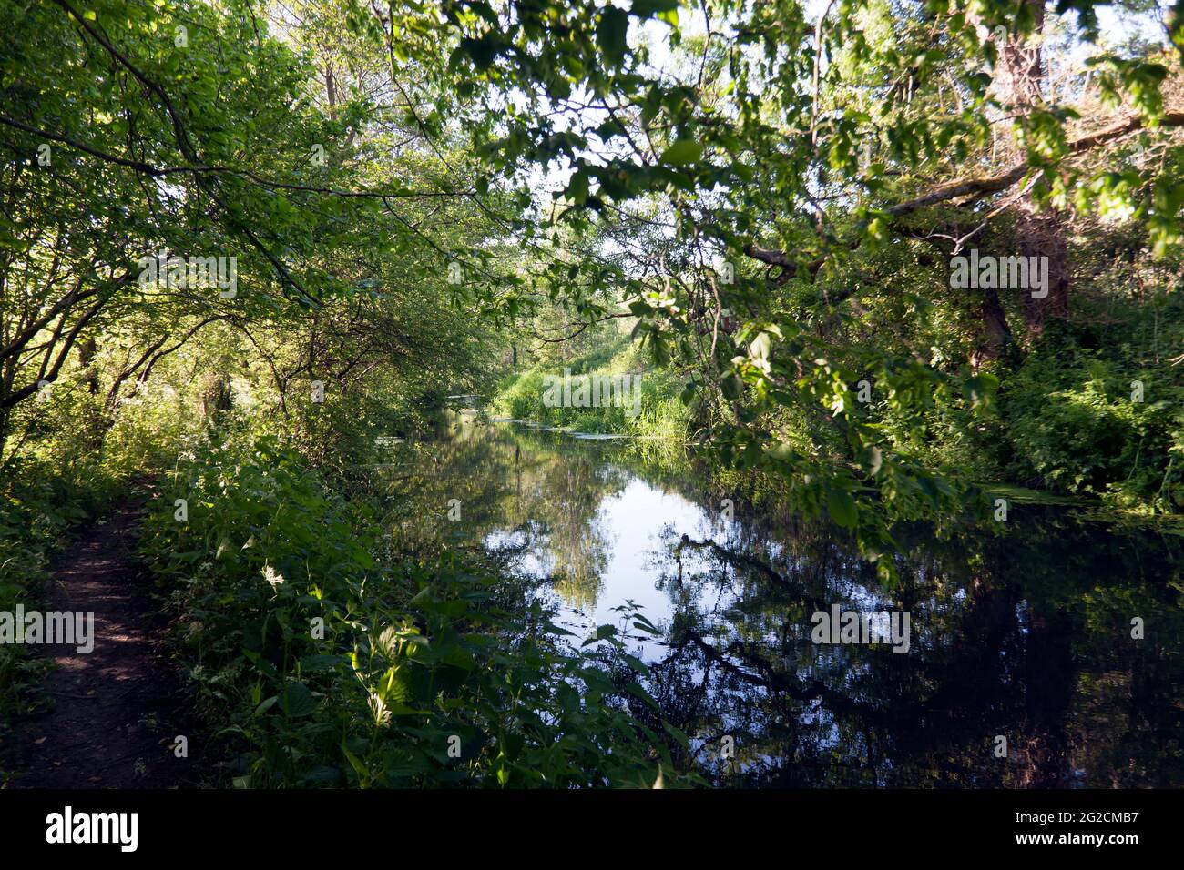 Part of the River Rother as passes by an old Water Mill, in ...