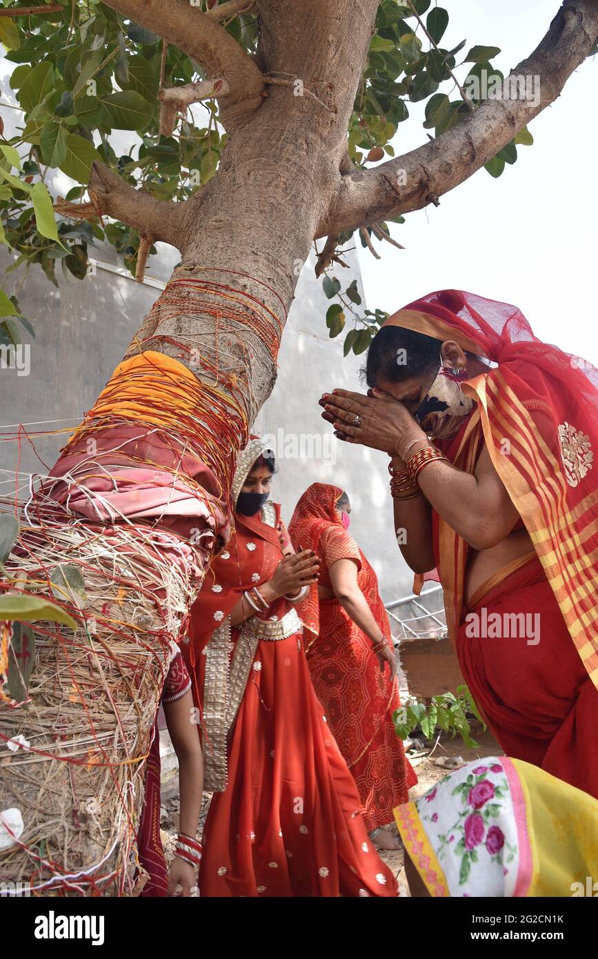 Vat savitri hi-res stock photography and images - Alamy