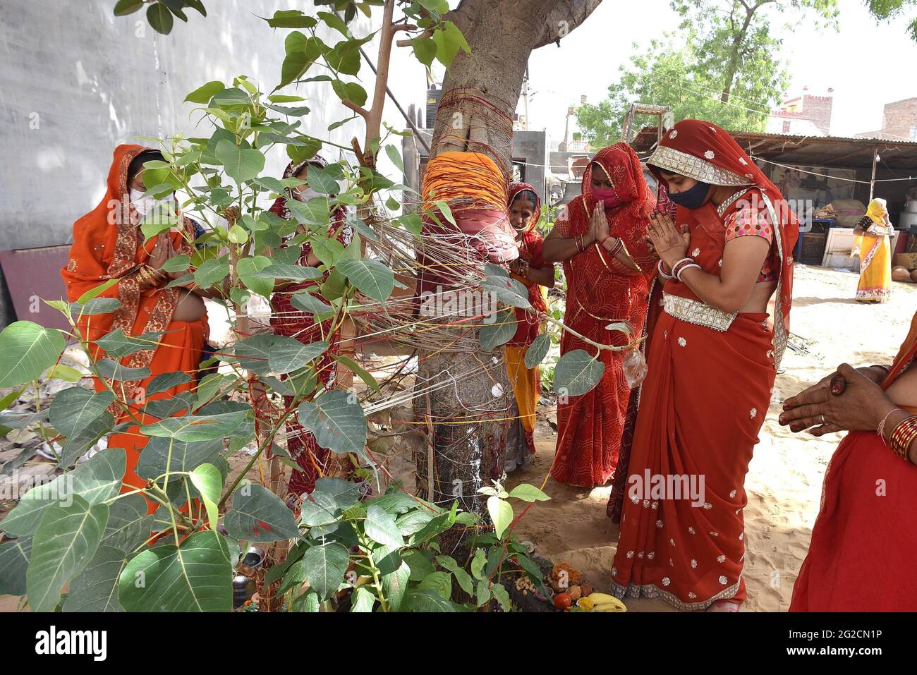 Vat savitri hi-res stock photography and images - Alamy