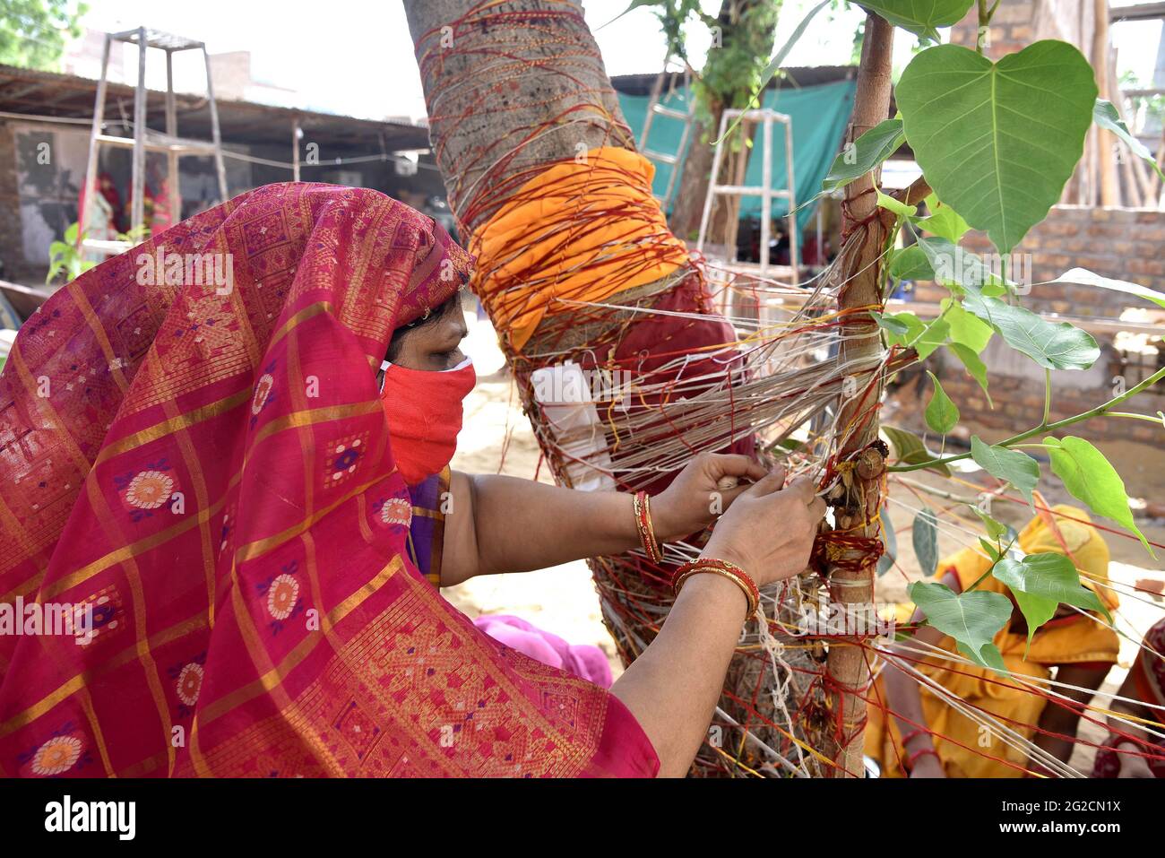 Vat savitri hi-res stock photography and images - Alamy
