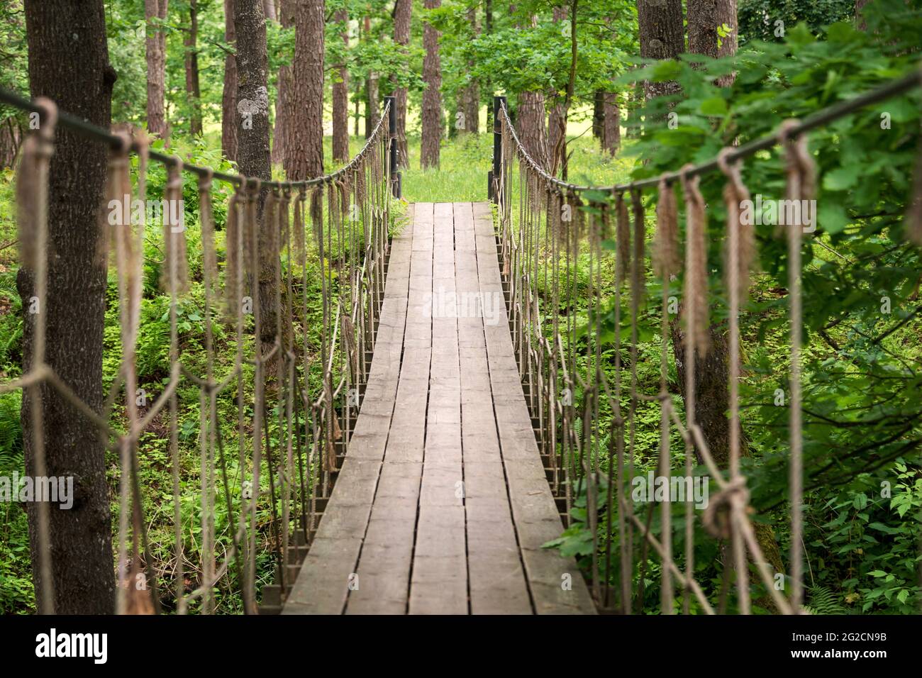 Suspension wooden bridge in the forest. Rope bridge suspended between ...