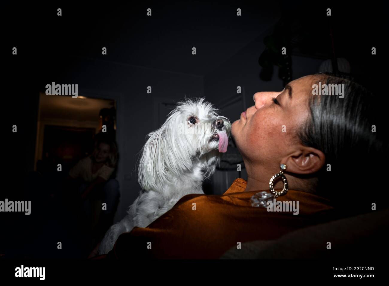Dog licking woman's face Stock Photo - Alamy