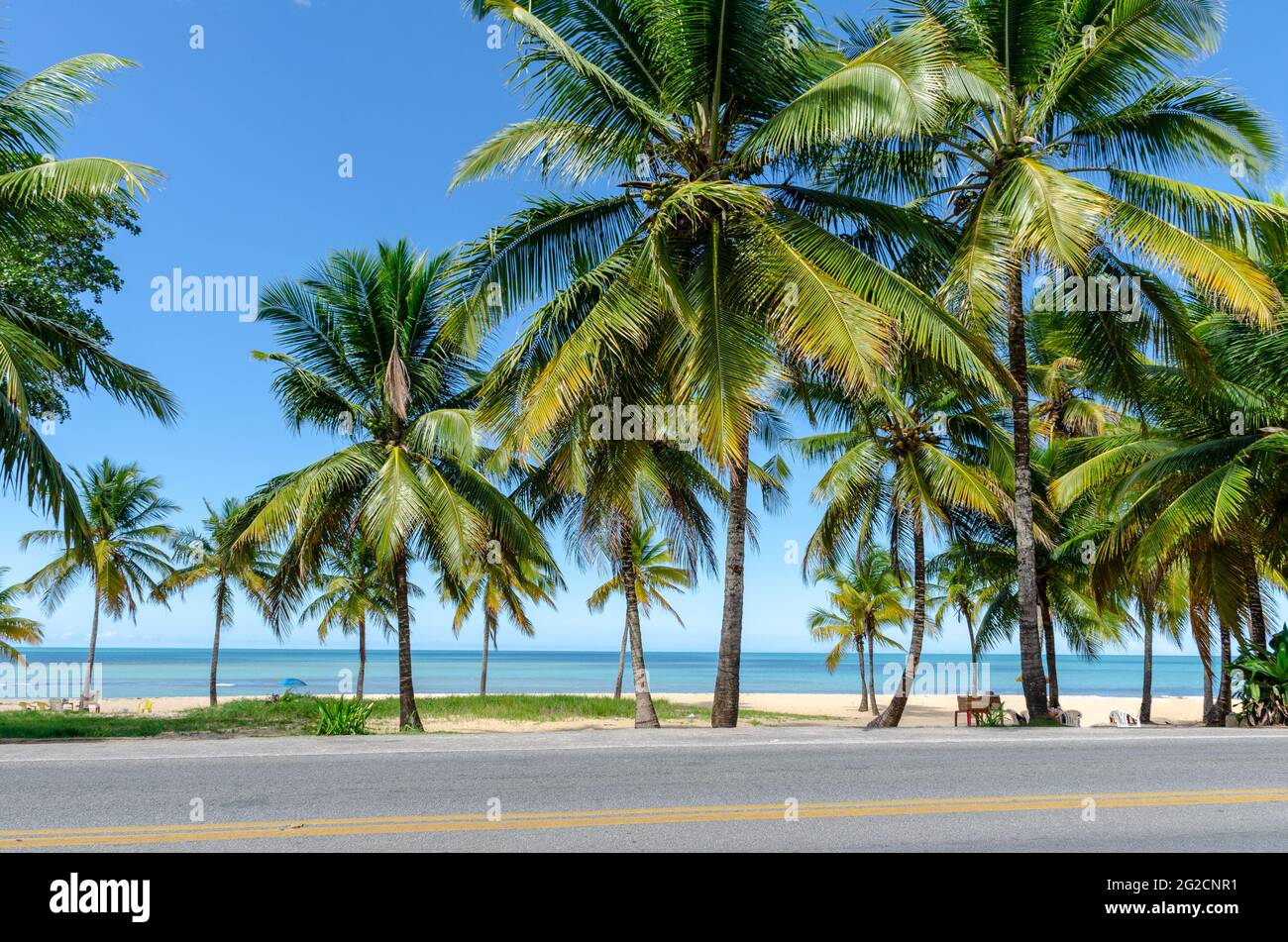Brazil coconut water bahia hi-res stock photography and images - Alamy