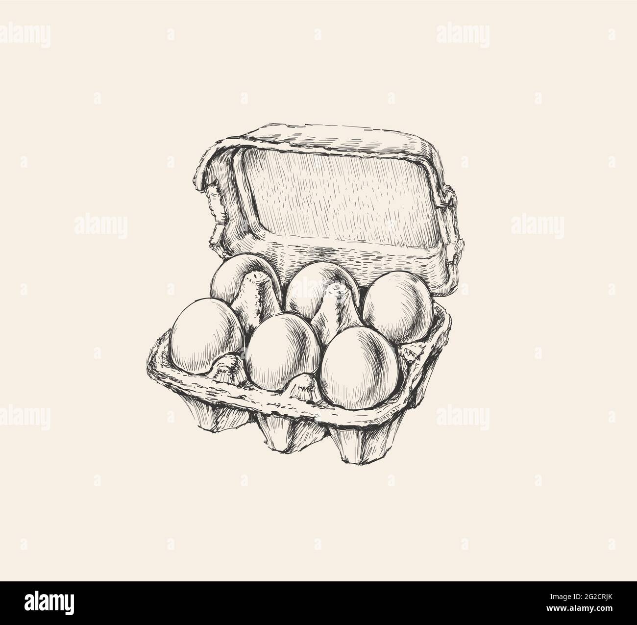 Eggs Packing Hand Drawn Illustration Isolated. Farm. Poultry farming ...
