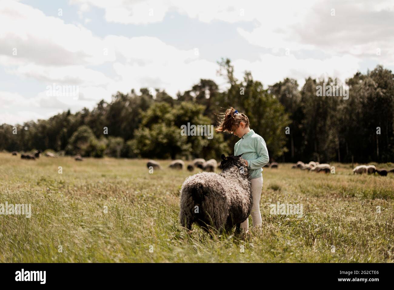 Girl with sheep hi-res stock photography and images - Alamy