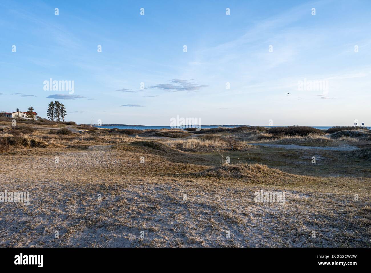 Golden light sunset hi-res stock photography and images - Alamy