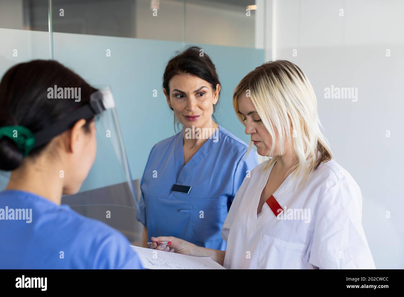 Female nurses and doctor checking file Stock Photo - Alamy