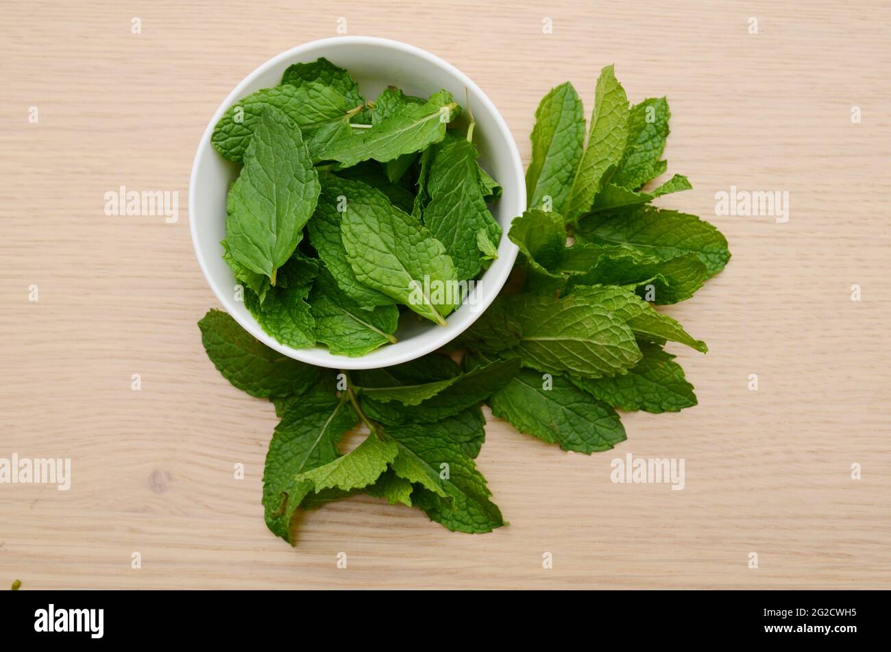 Curly mint leaves with bowl isolated on white background Stock Photo ...