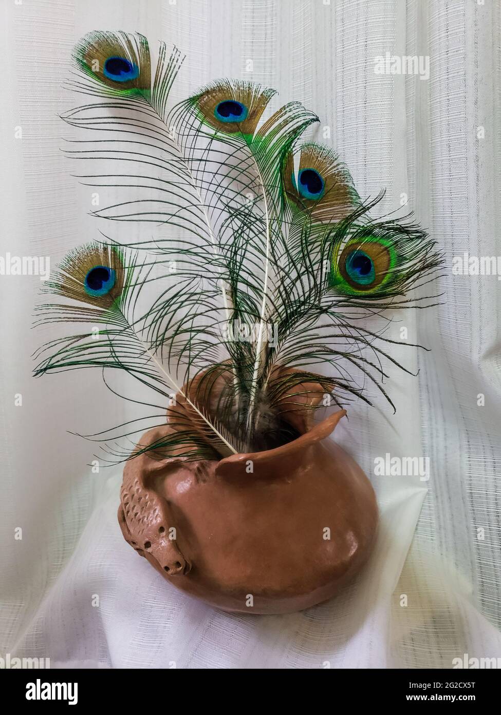 Vertical shot of peacock feathers in a clay pot Stock Photo - Alamy
