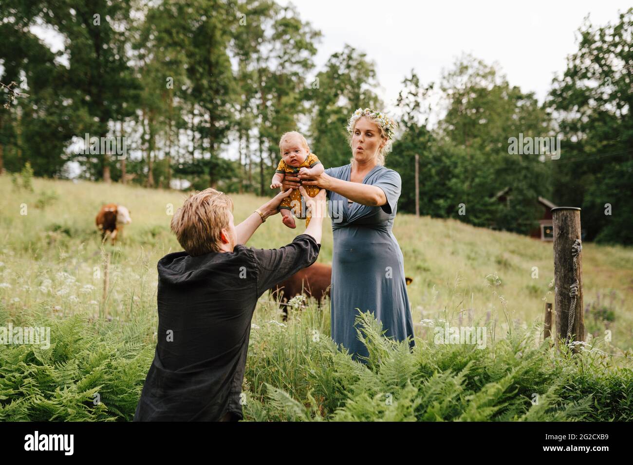 Woman passing baby to man Stock Photo - Alamy