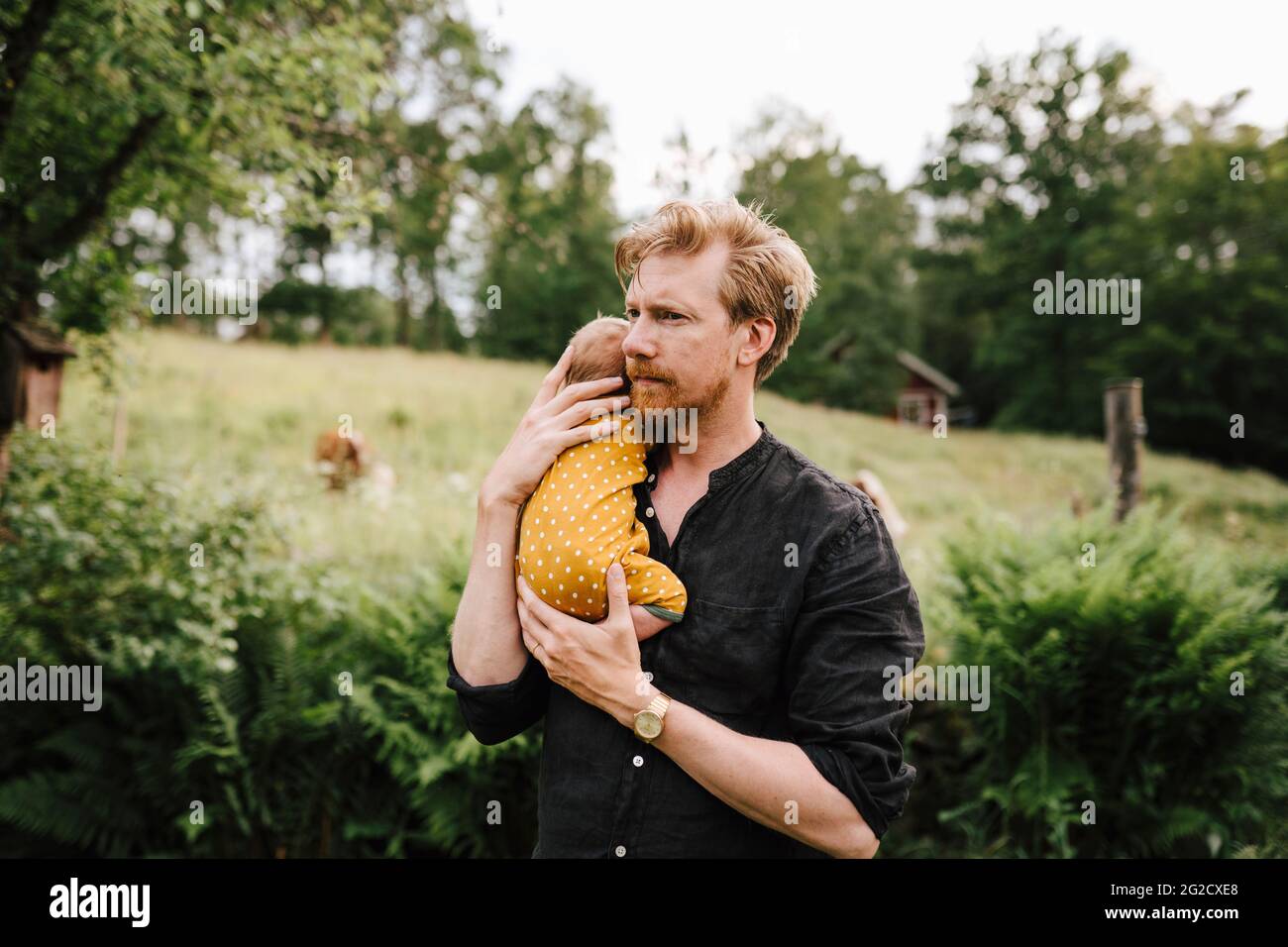 Father hugging baby Stock Photo - Alamy