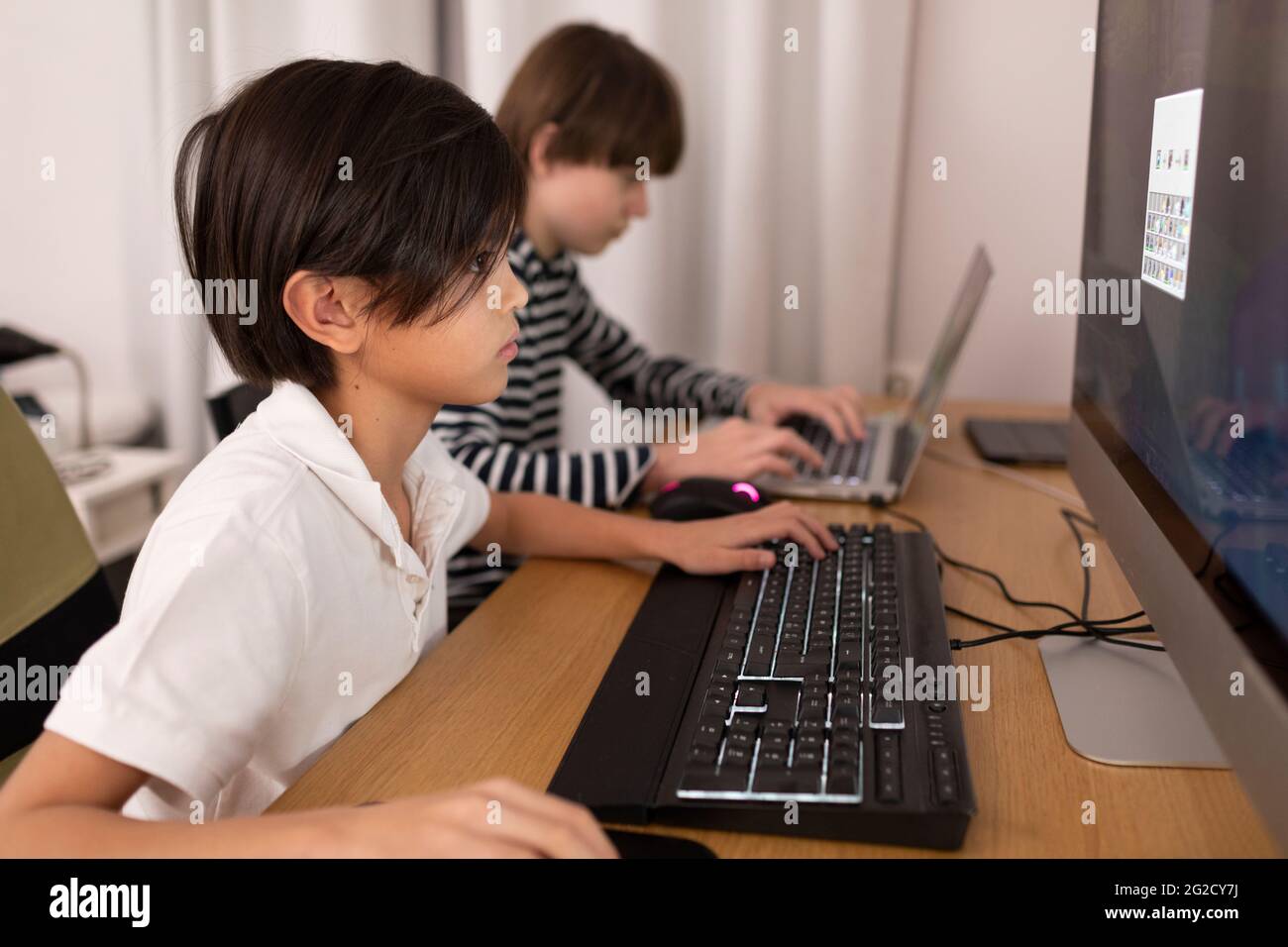 Boys using computers at home Stock Photo - Alamy