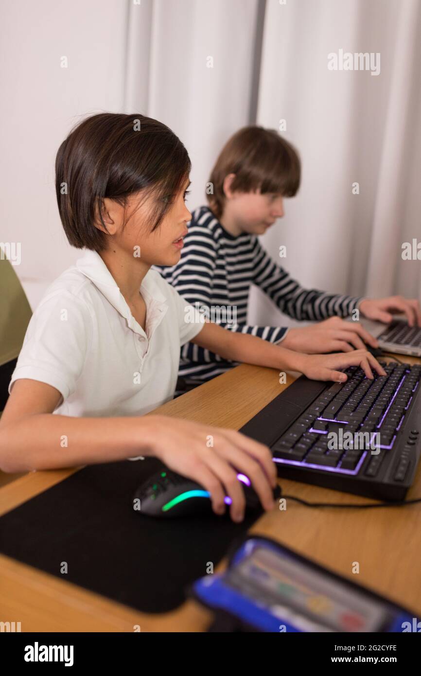 Boys using computers at home Stock Photo - Alamy