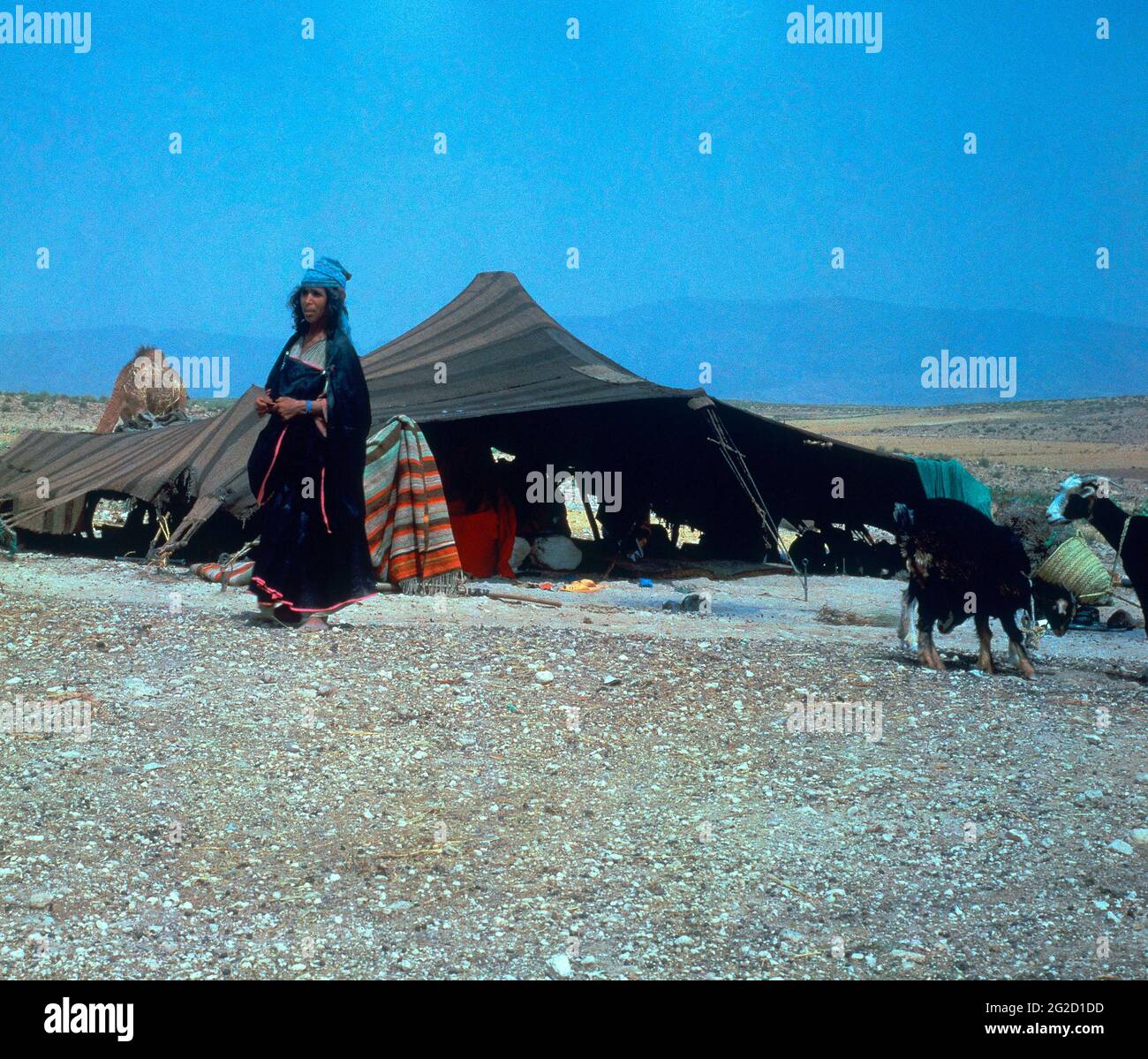 Jaima hi-res stock photography and images - Alamy