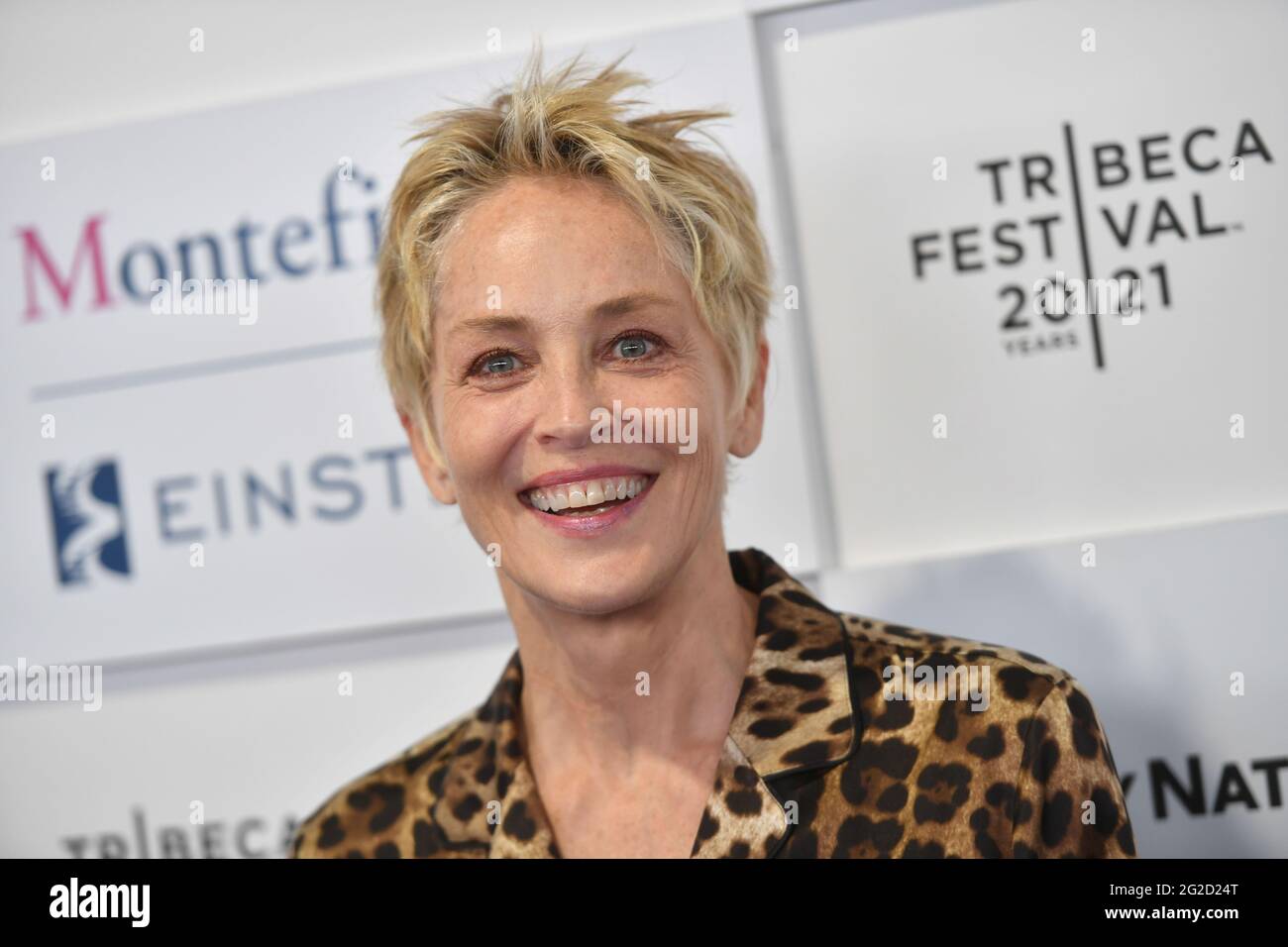 Sharon Stone attends the "In The Heights" Opening Night Premiere during ...