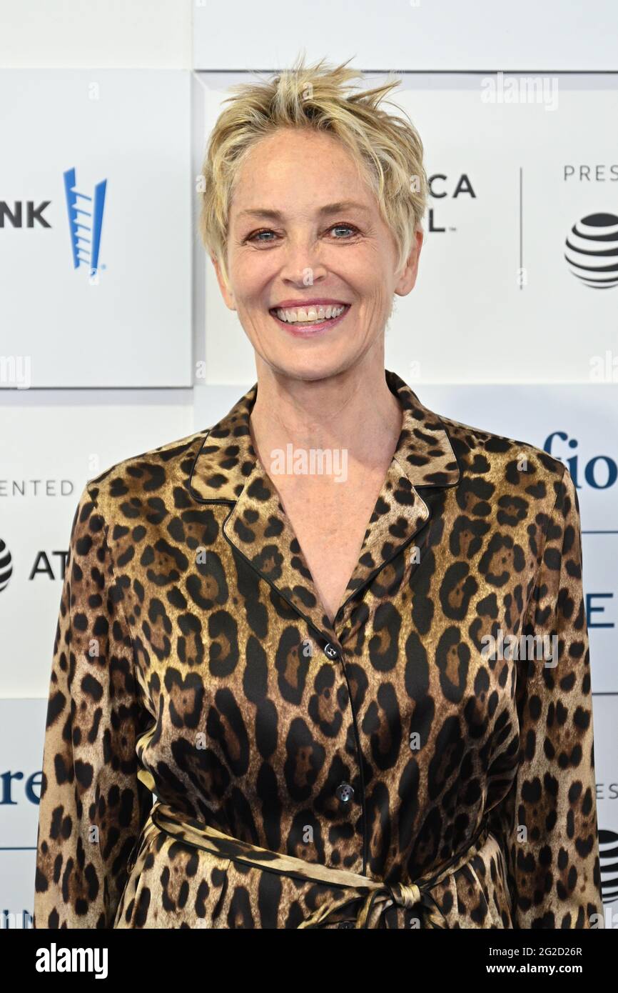 Sharon Stone attends the "In The Heights" Opening Night Premiere during ...