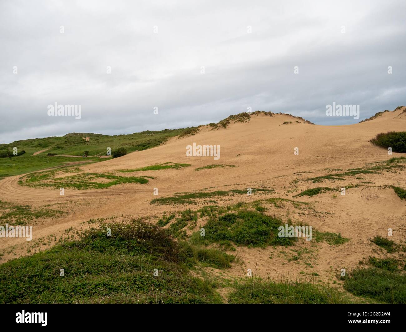View of Braunton Burrows - SSSI in North Devon and part of Biosphere ...