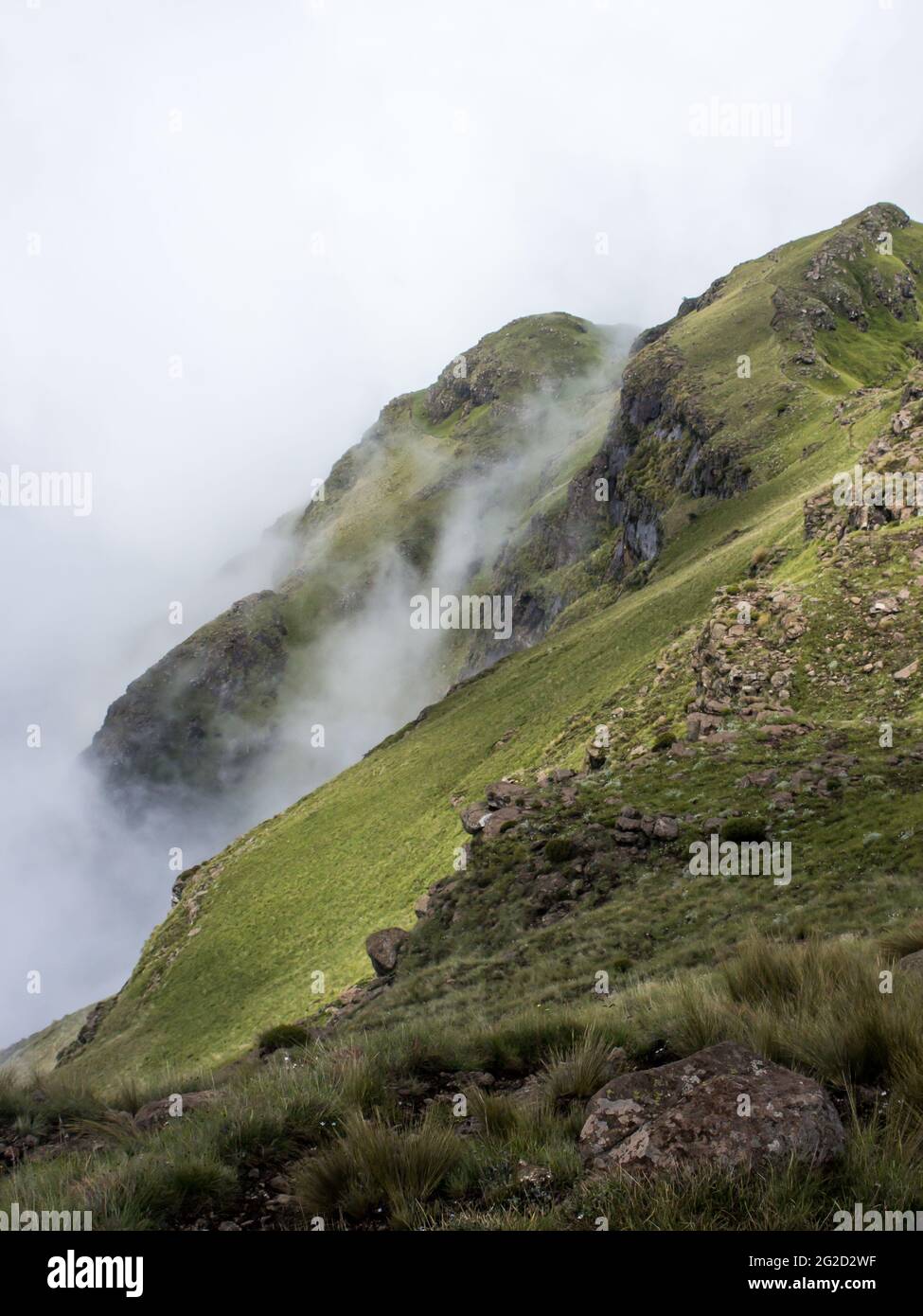 Fog gathering against a grass covered ridge in the Drakensberg ...