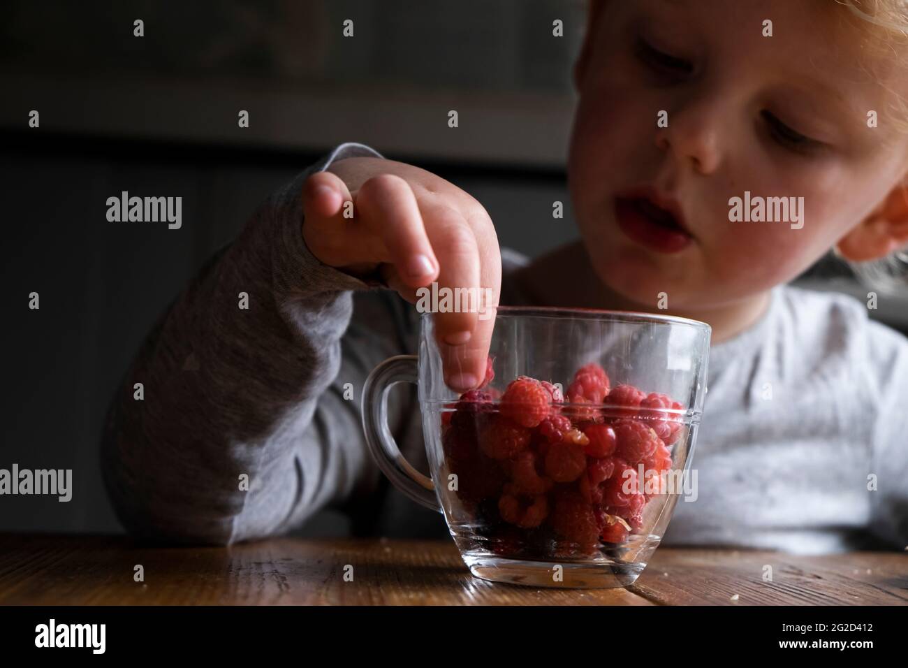 Boy eating raspberries Stock Photo - Alamy