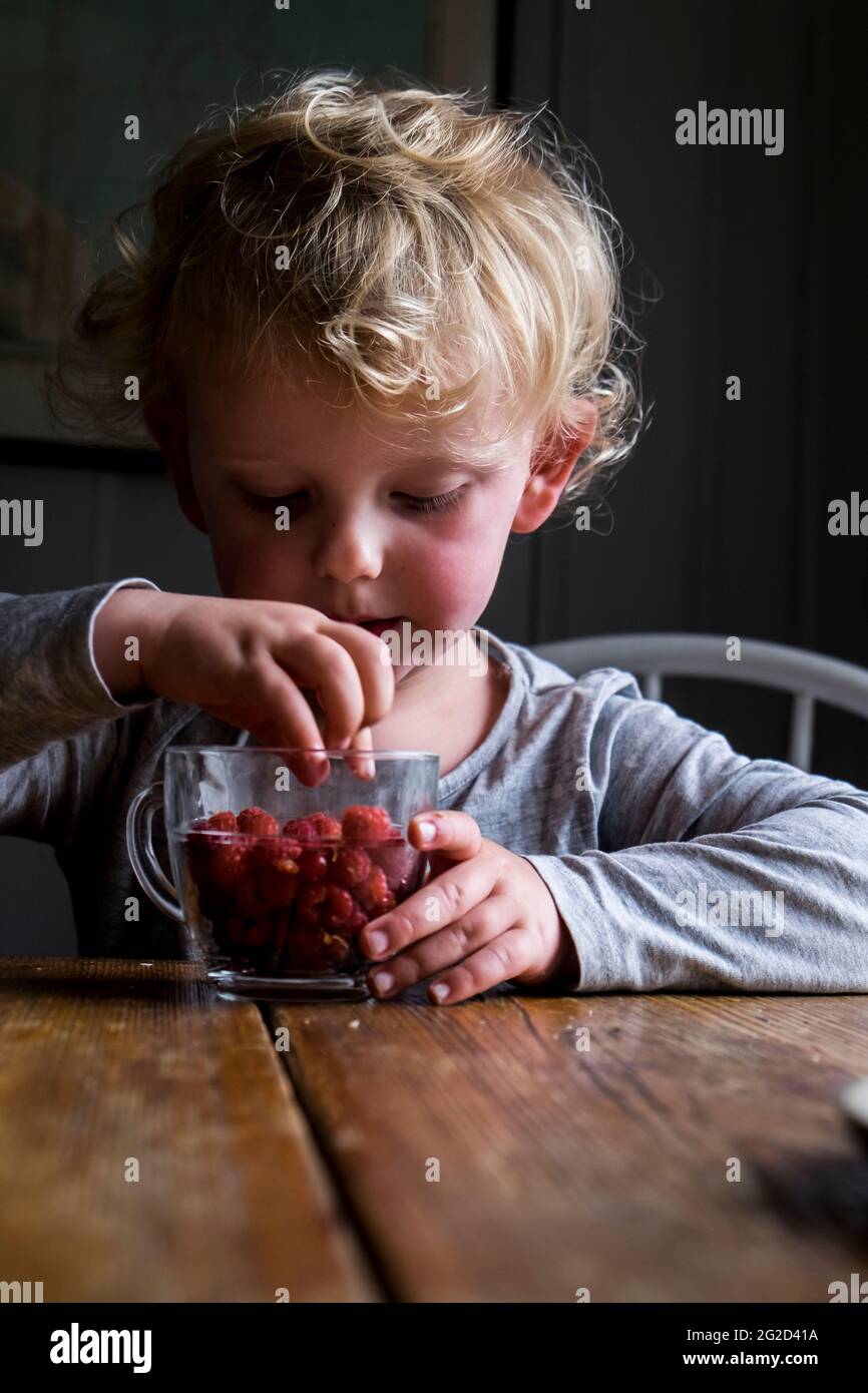Boy eating raspberries Stock Photo - Alamy