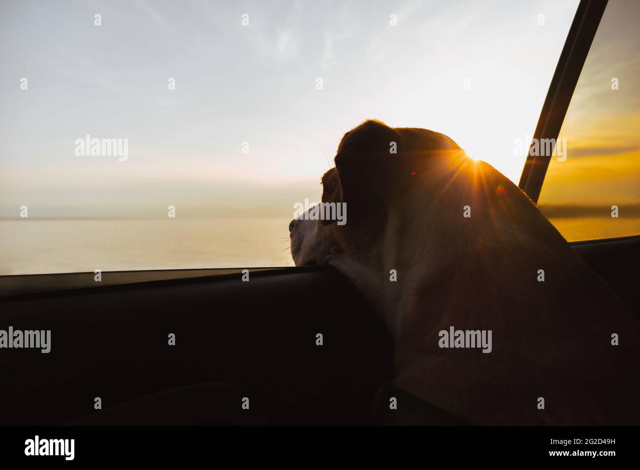 View from back seat of car hi-res stock photography and images - Alamy