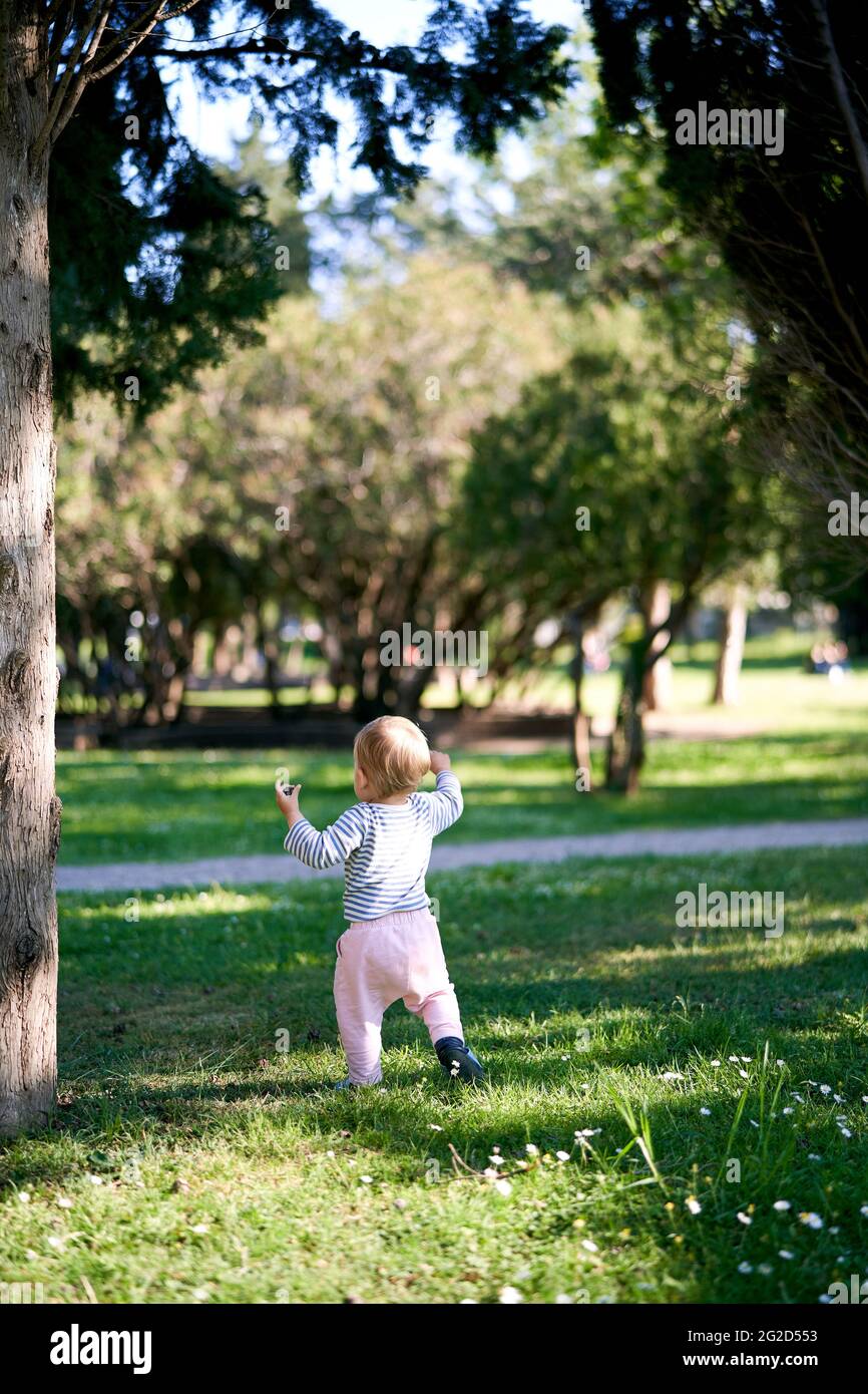 Small child walks along a green lawn to a tree. Back view Stock Photo ...