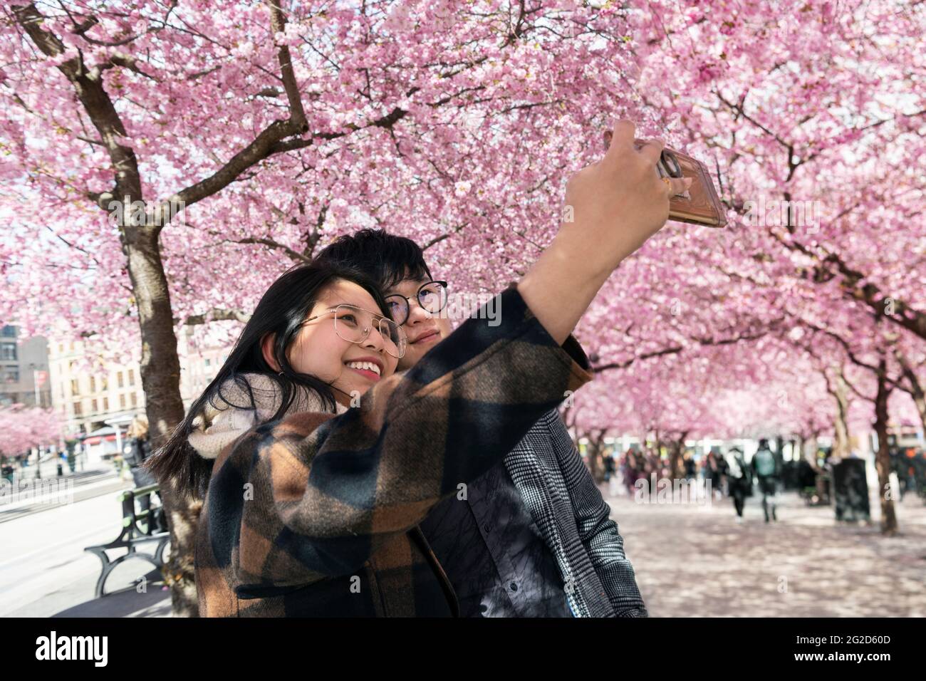 Stockholm sweden cherry blossom hi-res stock photography and images - Alamy