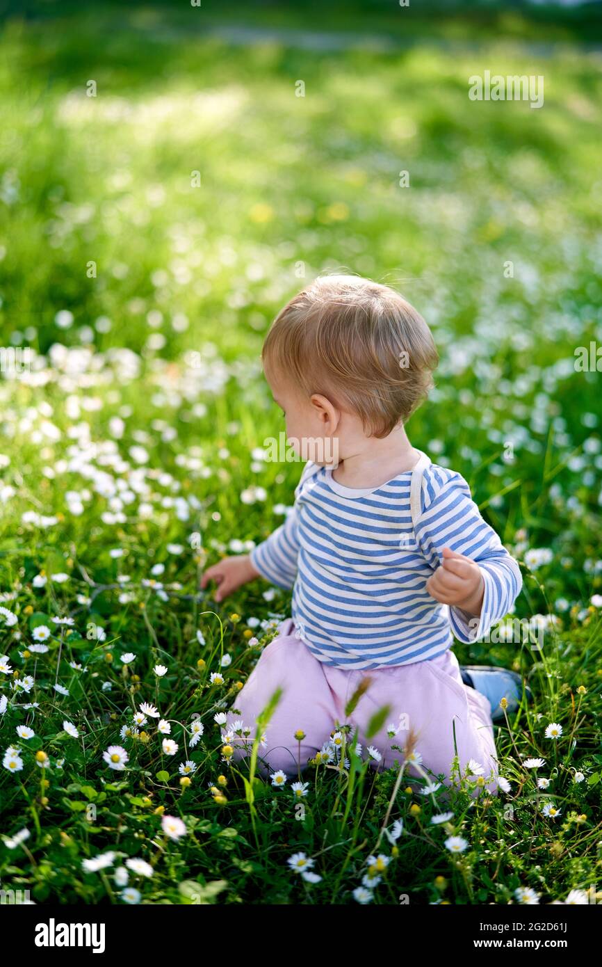 Baby kneels in the middle of a flower meadow, turning back Stock Photo ...